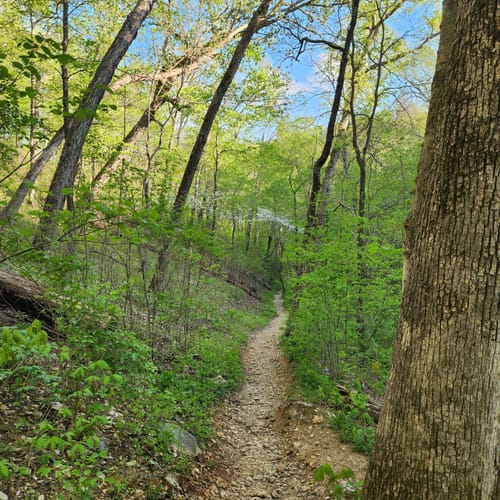 2023 Best River Trails in Weldon Spring Conservation Area | AllTrails