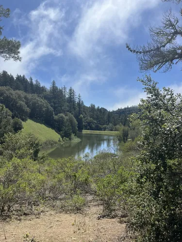 10 Best Hikes and Trails in Skyline Ridge Open Space Preserve | AllTrails