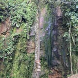 Bukit Dadap, Brunei and Muara, Brunei - 96 Reviews, Map | AllTrails