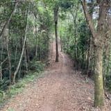 Bukit Dadap, Brunei and Muara, Brunei - 96 Reviews, Map | AllTrails