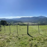 Long Gully Track Loop, Victoria, Australia - 58 Reviews, Map | AllTrails