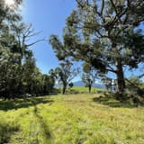 Long Gully Track Loop, Victoria, Australia - 58 Reviews, Map | AllTrails