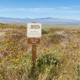 North Loop, Antelope Butte and Lightning Bolt Loop, California - 425 ...