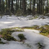 Yellow Point Bog Ecological Reserve and Yellow Point Park Loop, British ...