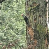 Yellow Point Bog Ecological Reserve and Yellow Point Park Loop, British ...