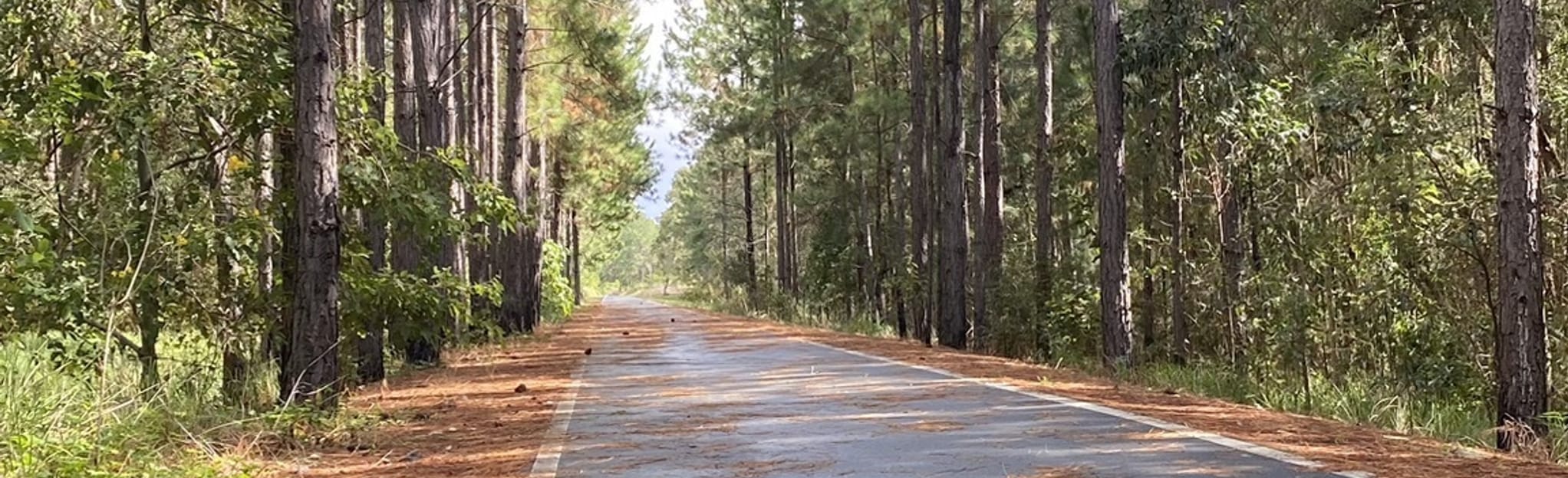 Caboolture to Wamuran Rail Trail: 127 Reviews, Map - Queensland ...