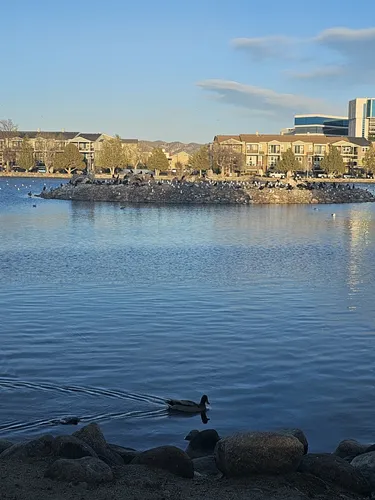 Best Hikes and Trails in Virginia Lake Park | AllTrails