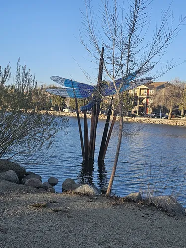 Best Hikes and Trails in Virginia Lake Park | AllTrails