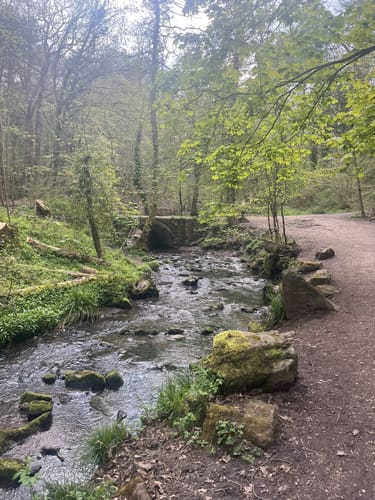 Best local parks in Wales | AllTrails