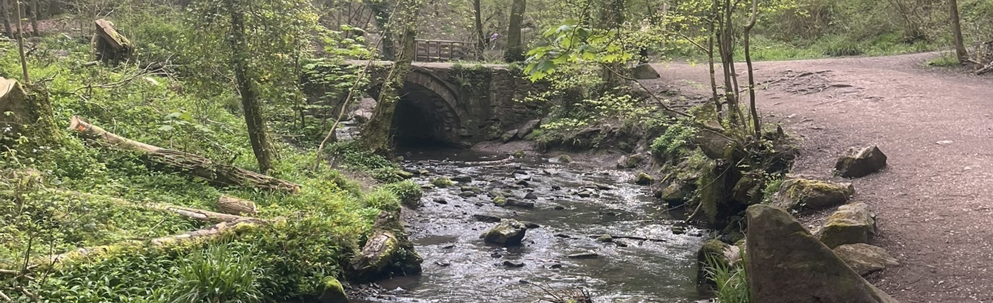 Wepre Park: 230 Reviews, Map - Flintshire, Wales | AllTrails