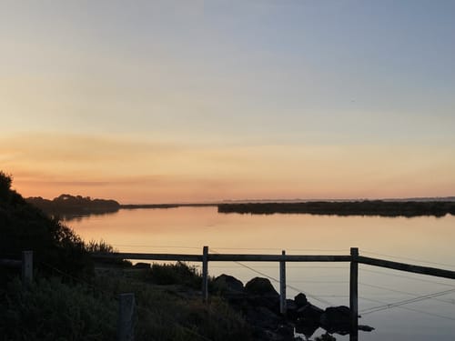 Best Hikes and Trails in Lake Connewarre Wildlife Reserve | AllTrails