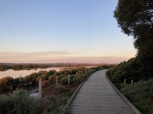 Best Hikes and Trails in Lake Connewarre Wildlife Reserve | AllTrails