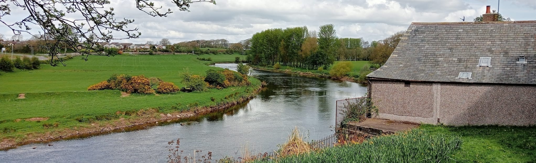 River Annan Circular: 17 Reviews, Map - Dumfries and Galloway, Scotland ...