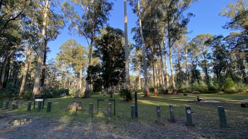 2023 Best 10 Views Trails in Bunyip State Park | AllTrails