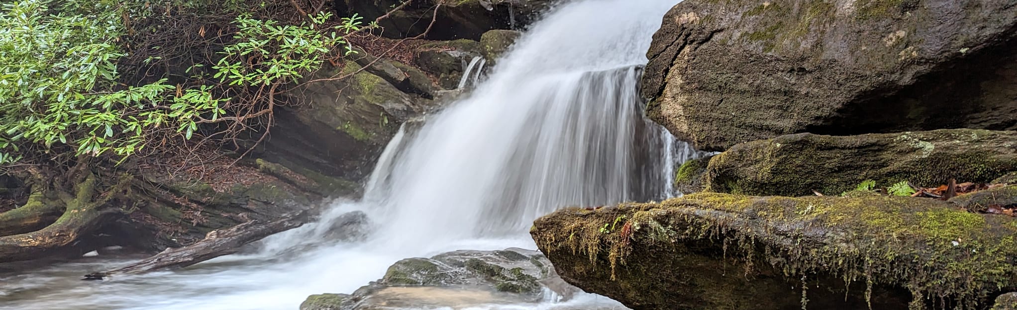 Lemon Falls, North Carolina - 15 Reviews, Map | AllTrails
