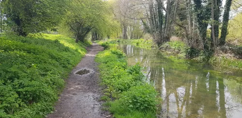 10 Best Trails and Hikes in Reading | AllTrails