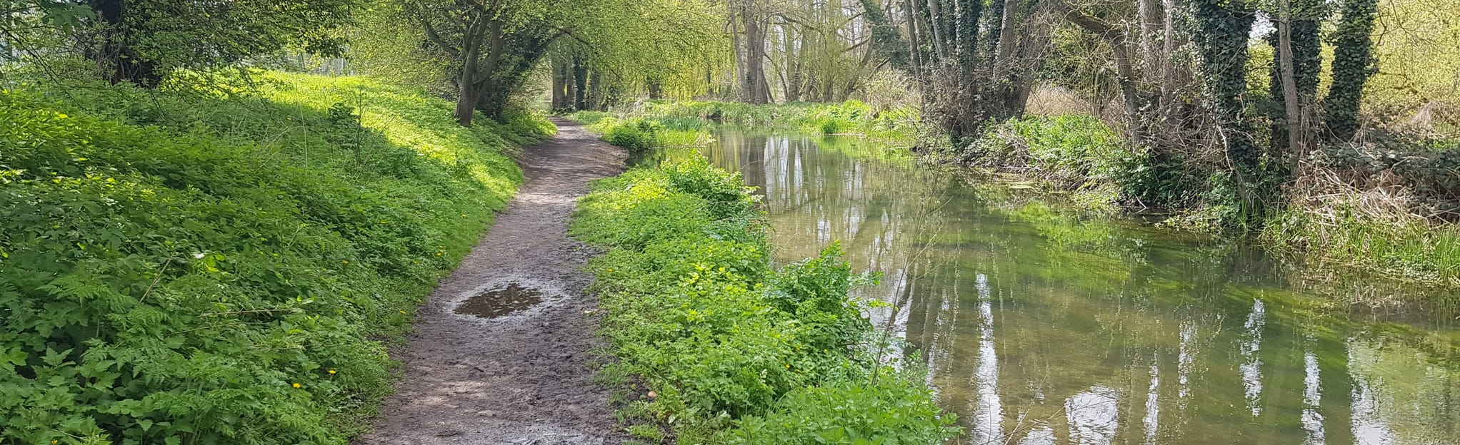 Greathouse Woods, River Pang and Berkshire Circular: 192 foto's ...