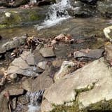 Cascade Falls Loop Trail, Massachusetts - 733 Reviews, Map | AllTrails