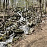 Cascade Falls Loop Trail, Massachusetts - 733 Reviews, Map | AllTrails