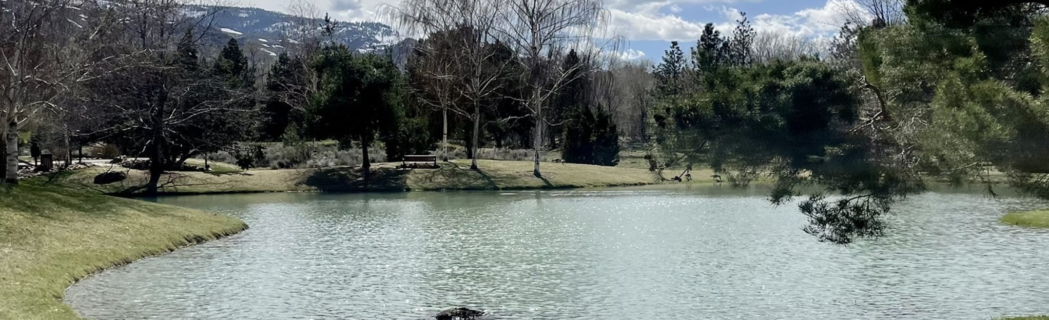 Caughlin Ranch Trails, Nevada - 540 Reviews, Map | AllTrails