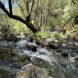 Moore Creek Trail, California - 586 Reviews, Map | AllTrails