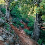 Red Rock Spring Trail to Highline Trail, Arizona - 60 Reviews, Map ...