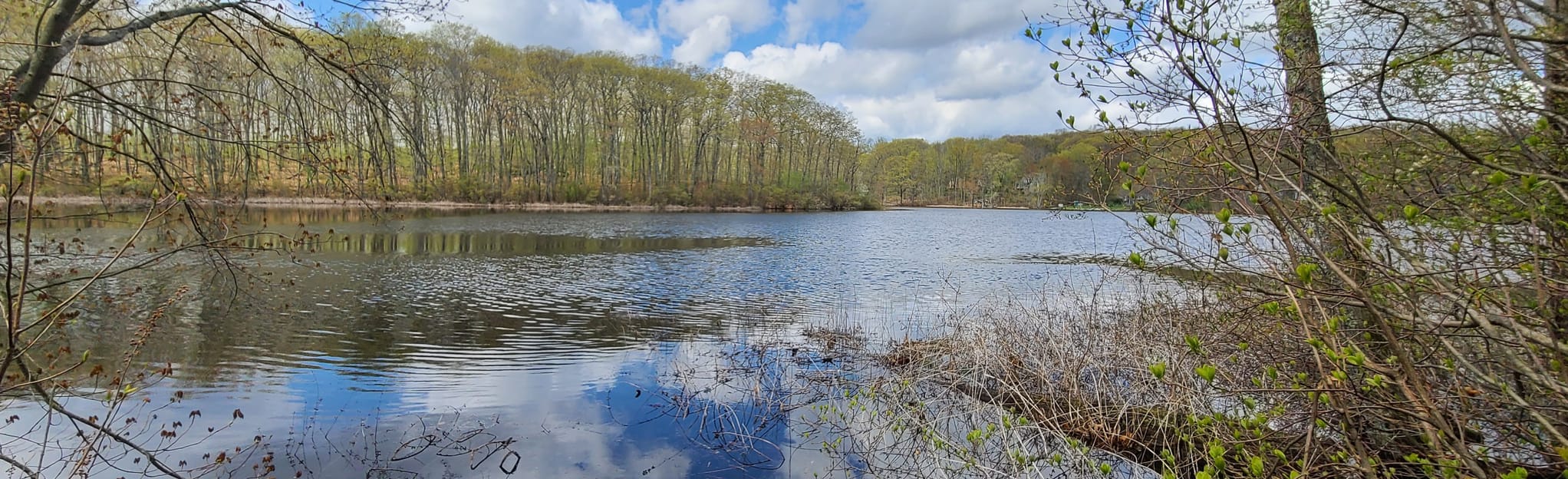 Mono Pond: 57 Fotos - Connecticut | AllTrails