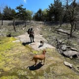Elk River Hiking Trail, Kansas - 696 Reviews, Map | AllTrails
