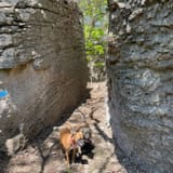Elk River Hiking Trail, Kansas - 696 Reviews, Map | AllTrails