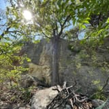 Elk River Hiking Trail, Kansas - 696 Reviews, Map | AllTrails