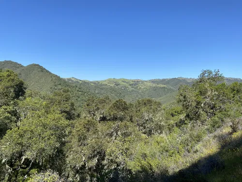 Best Hard Trails in Garland Ranch Regional Park | AllTrails