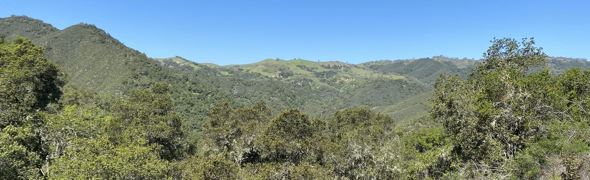 Kahn Manzanita Loop, California - 28 Reviews, Map | AllTrails