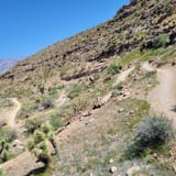 Fossil Ridge Loop, Nevada - 693 Reviews, Map | AllTrails