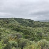 Barbara's Lake Loop Trail, California - 822 Reviews, Map | AllTrails