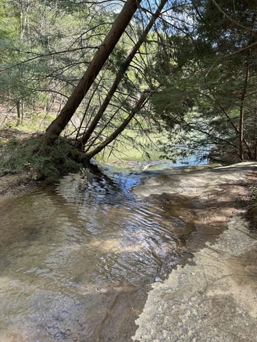 Best Hikes and Trails in Grayson Lake State Park | AllTrails