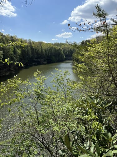 Best Hikes and Trails in Grayson Lake State Park | AllTrails