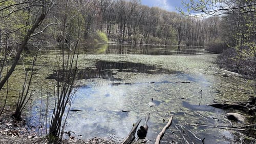 Best Hikes and Trails in Whipple Hill Conservation Lands | AllTrails