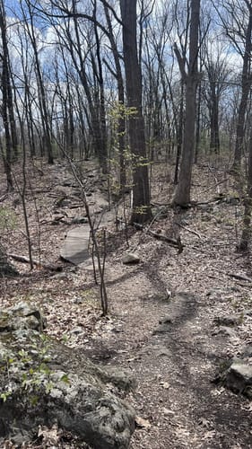 Best Hikes and Trails in Whipple Hill Conservation Lands | AllTrails