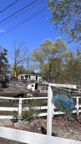 Best Hikes and Trails in Whipple Hill Conservation Lands | AllTrails