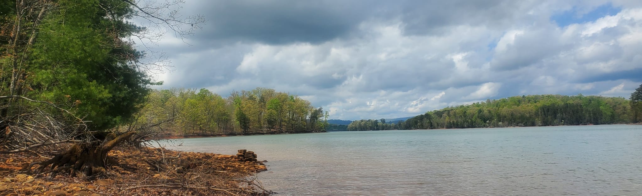 Jackrabbit Mountain Loop: 119 Reviews, Map - North Carolina | AllTrails