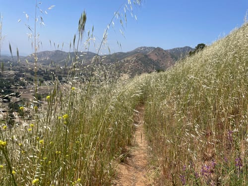 Best Hikes and Trails in El Monte County Park | AllTrails