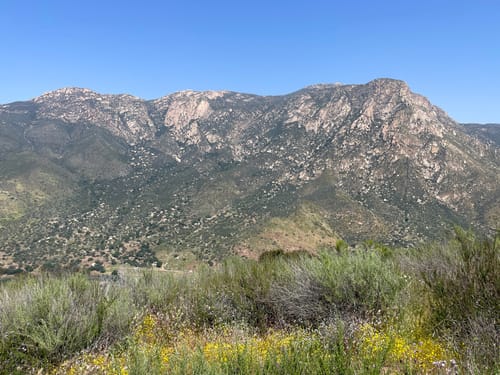Best Hikes and Trails in El Monte County Park | AllTrails
