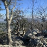 (Doug Ghee) Bald Rock Boardwalk, Alabama - 467 Reviews, Map | AllTrails