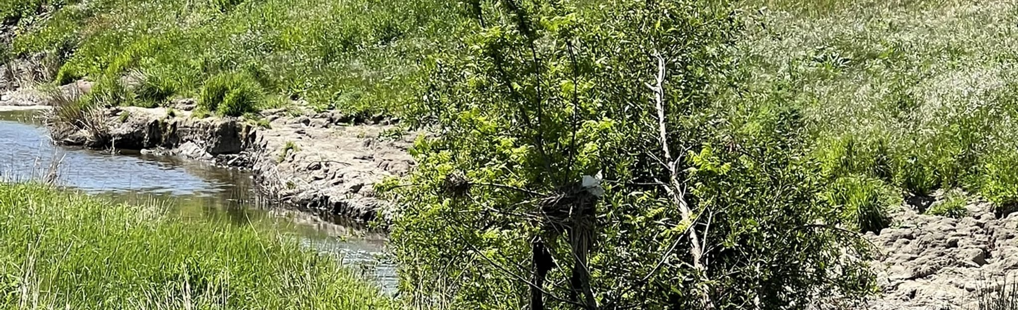 Arroyo Mocho Trail from Val Vista, California - 277 Reviews, Map ...