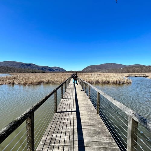 Best Hikes and Trails in Constitution Marsh Audubon Center and ...