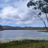 Lake Manchester Loop Walk, Queensland, Australia - 203 Reviews, Map ...