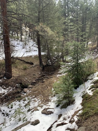 Best Hikes and Trails in Lost Gulch Overlook | AllTrails