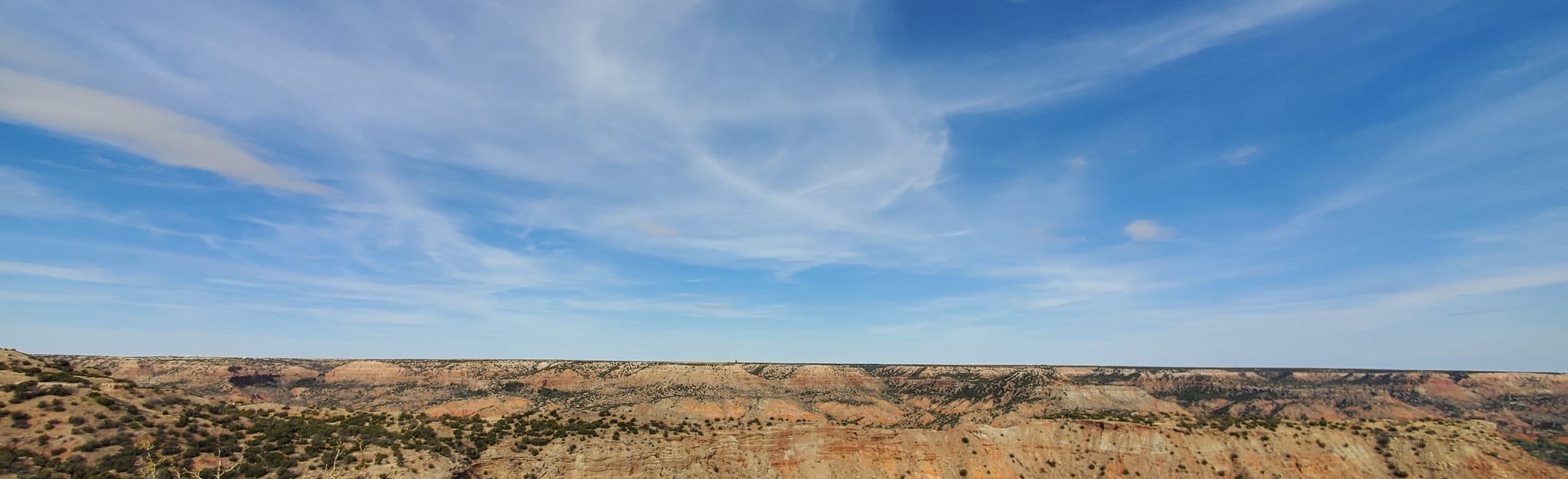 CCC Trail, Texas - 191 Reviews, Map | AllTrails