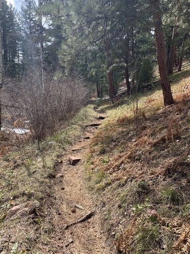 Best Hikes and Trails in Lost Gulch Overlook | AllTrails