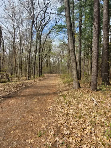 10 Best Trails and Hikes in Pinckney | AllTrails